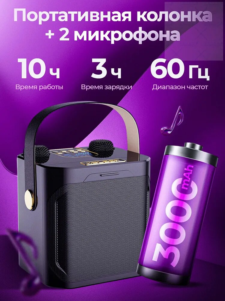 Премиум Караоке-система с беспроводными микрофонами, подключение по Bluetooth, громкий и чистый звук, для дома — фото 1