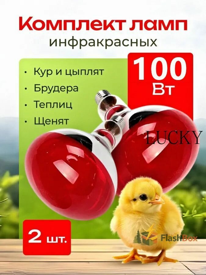 Лампа инфракрасная 100Вт Е27 - 2 шт, для обогрева кур, щенков, цыплят, свиней, курятника, брудера/ Лампочка галогенная для животных, растений и теплиц