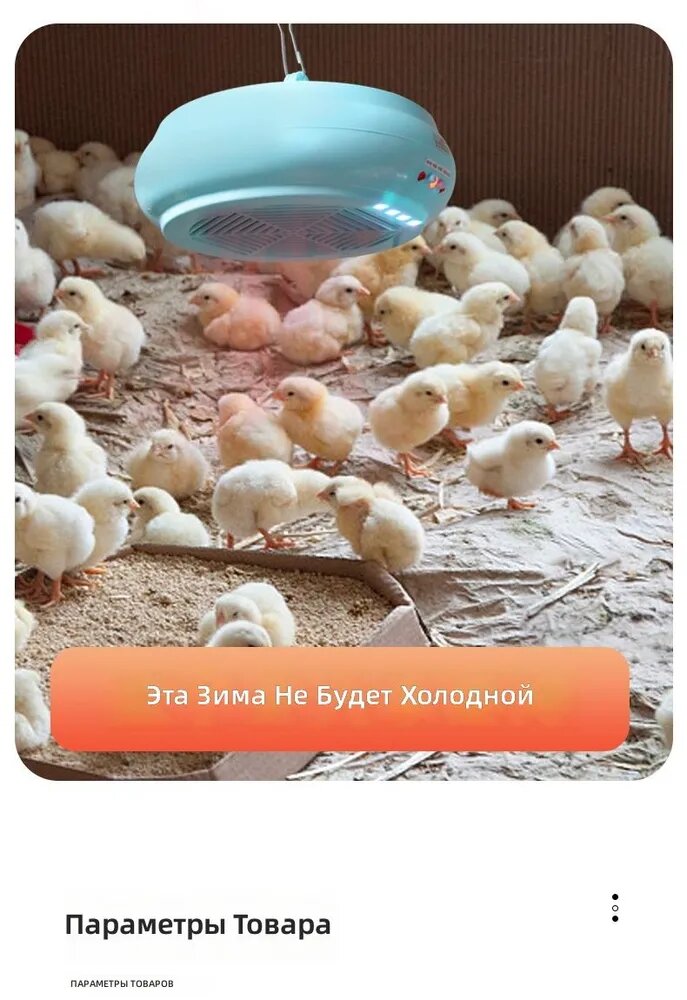 Обогреватель для цыплят, инфракрасный обогреватель для птиц, Разноцветный, Китай, 3667023234