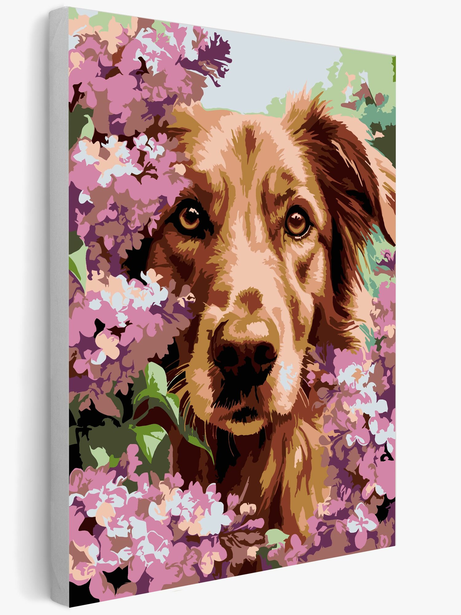 Картина по номерам лабрадор