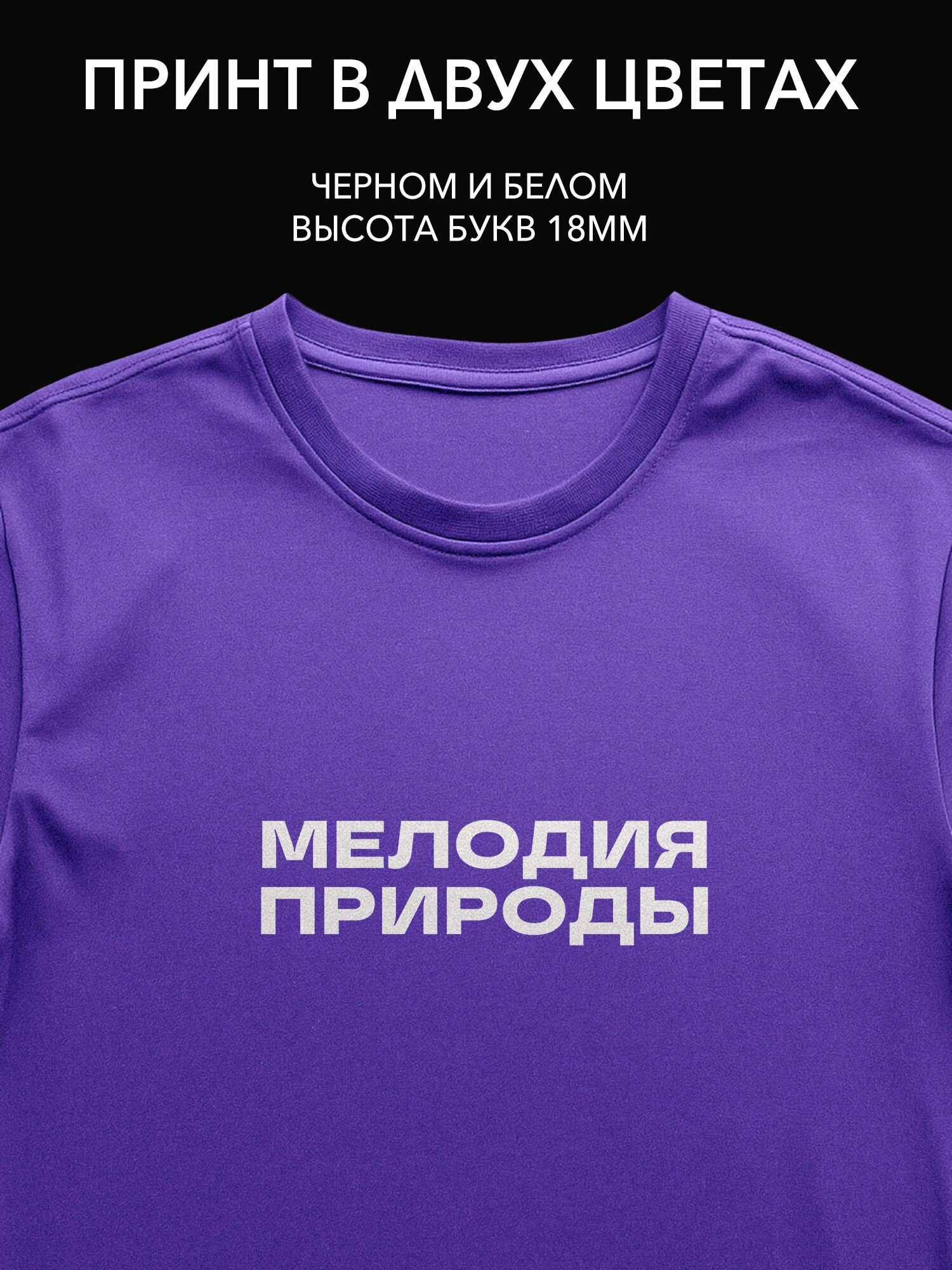Наклейка "Мелодия природы" - текстовый принт на одежду для пикника
