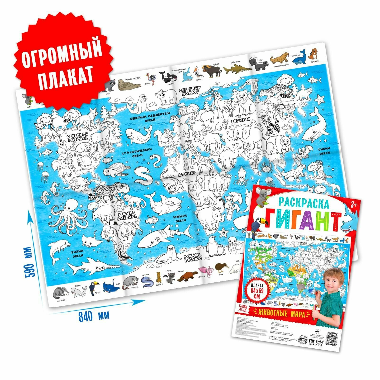 Раскраска - плакат обучающая Животные мира , 59х84 см