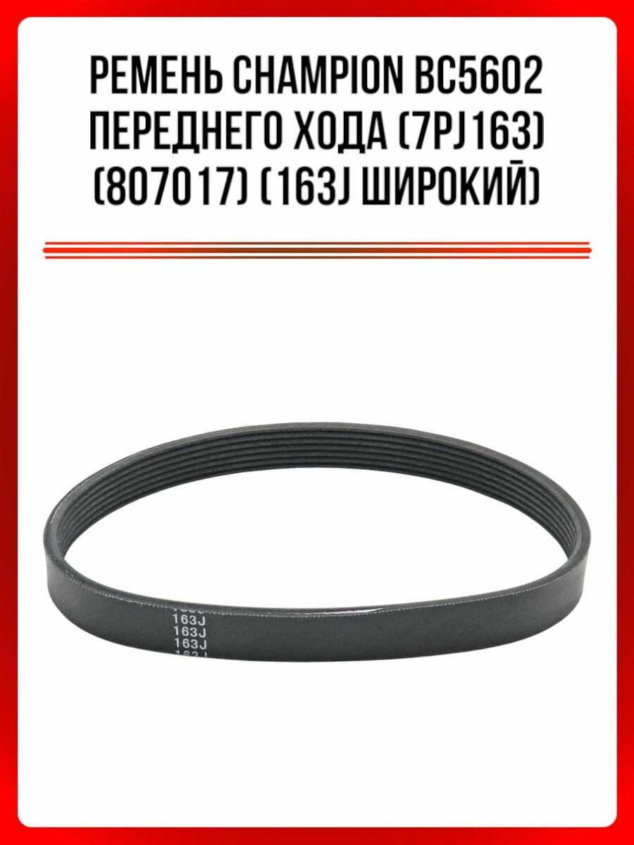 Ремень CHAMPION BC5602 переднего хода (7PJ163) (807017)
