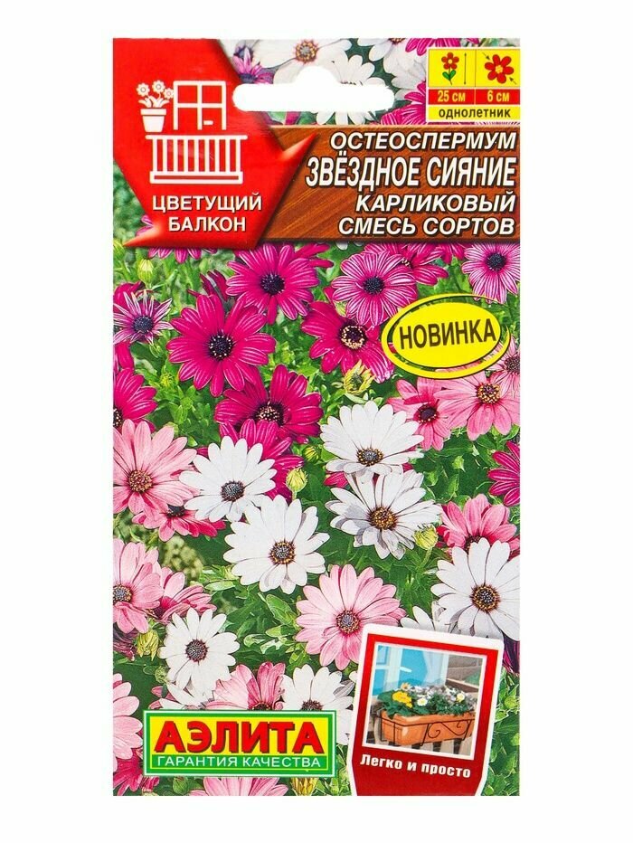 Семена цветов Остеоспермум Звездное сияние карликовый , смесь, серия Цветущий балкон , 10 шт.
