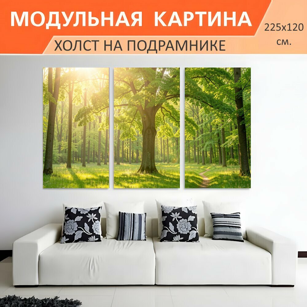 Модульная картина на холсте "Солнечный лесной пейзаж с тропой. Зелёный лес в тёплых лучах рассветного света, высокие деревья, мягкие." триптих на подрамнике 225х120 см. для интерьера