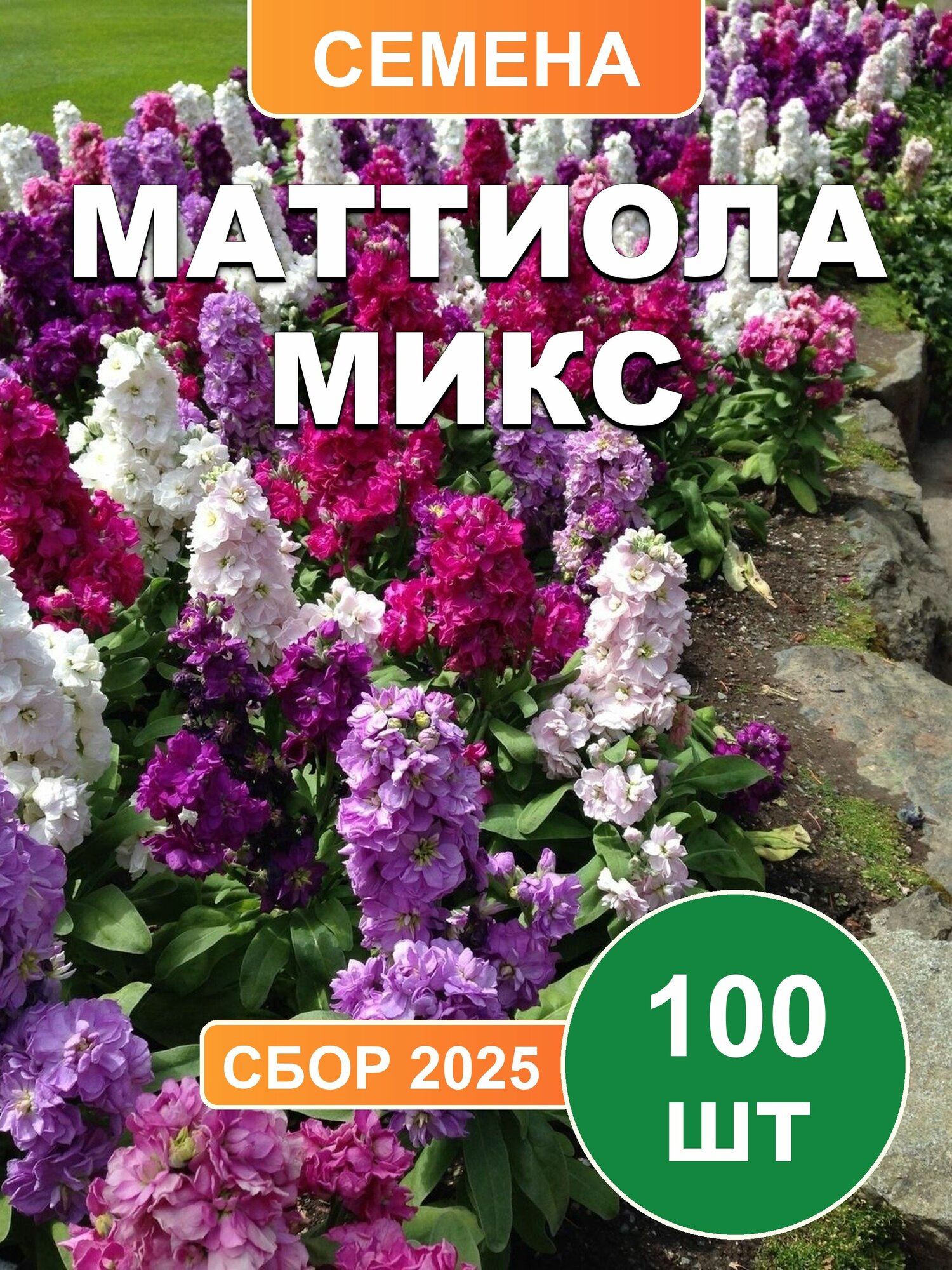 Маттиола микс, семена, 100шт
