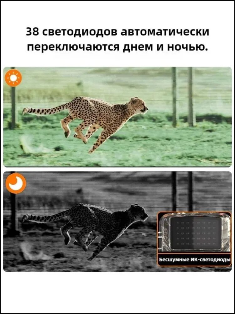 Фотоловушка для охоты с ночным видением 1080P, IP66 для природы и фермы