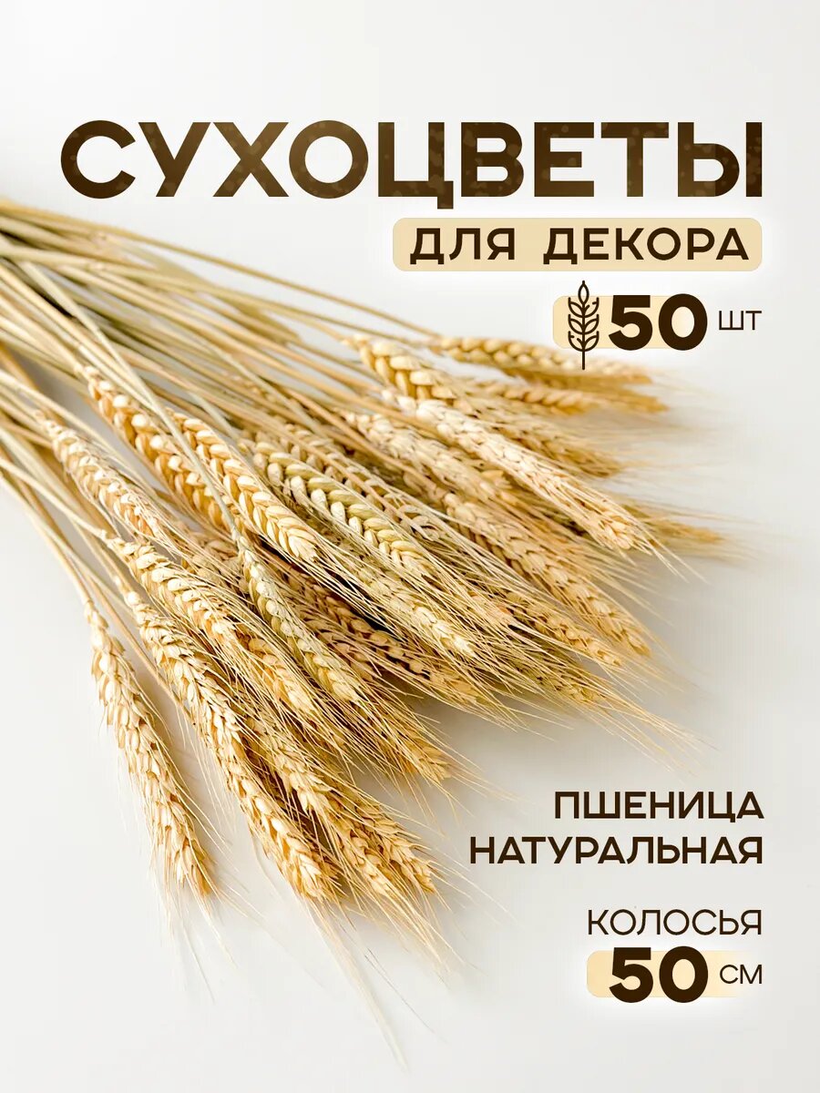 Пшеница Сухоцветы Колос натуральный 50 веток для декора 50 см