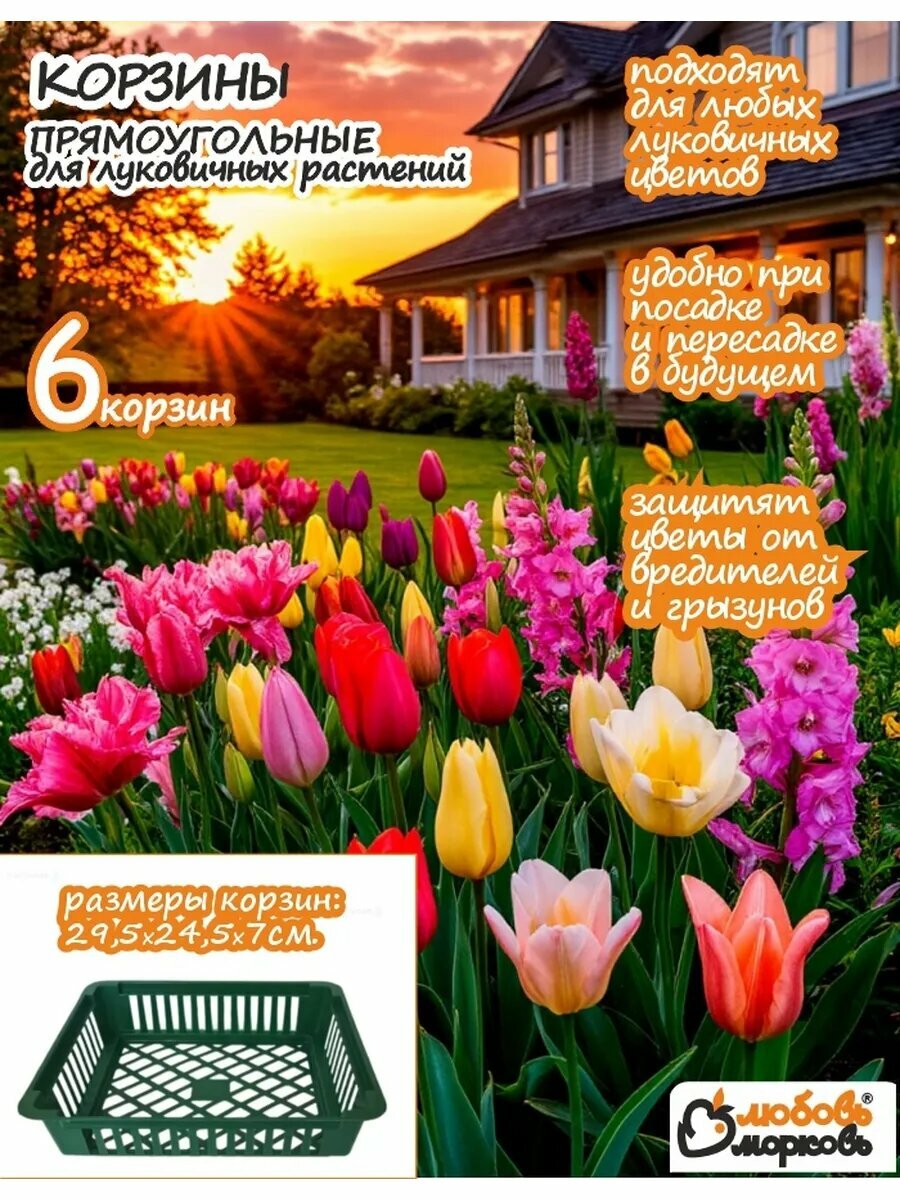 Корзина для луковичных растений, прямоугольная, 6 шт