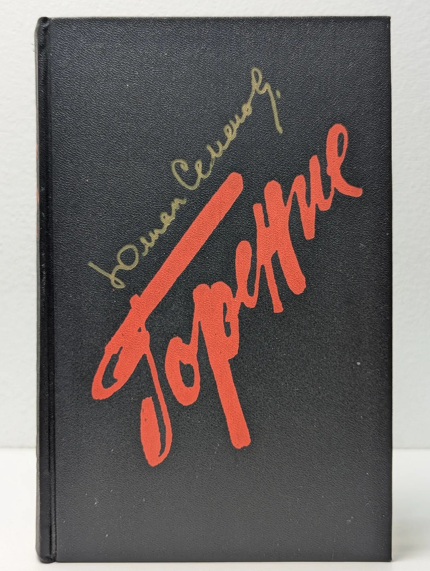 Горение Семенов Юлиан Семенович 1987