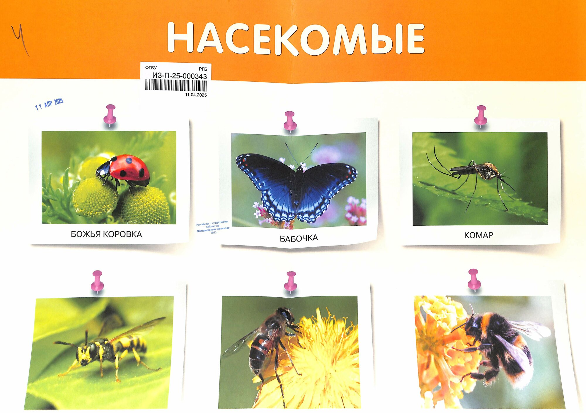НаглядныеПособия Плакат. Насекомые (А1), (Мозаика-Синтез, 2020), Л ()