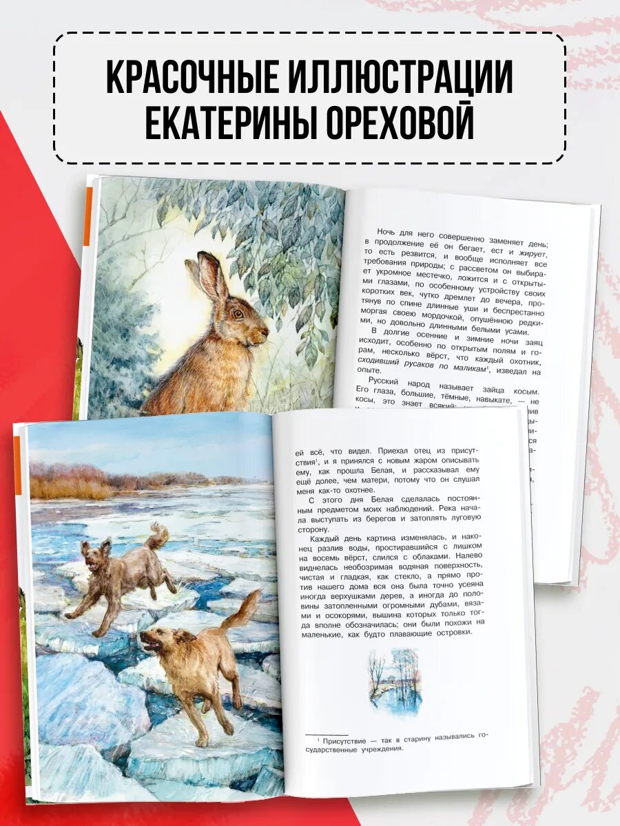 Рассказы о природе — фото 1