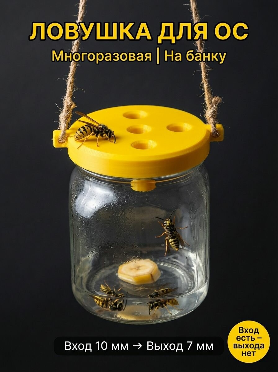 Ловушка для ос многоразовая на банку Крышка-капкан с 5 конусными входами Вход есть выхода нет