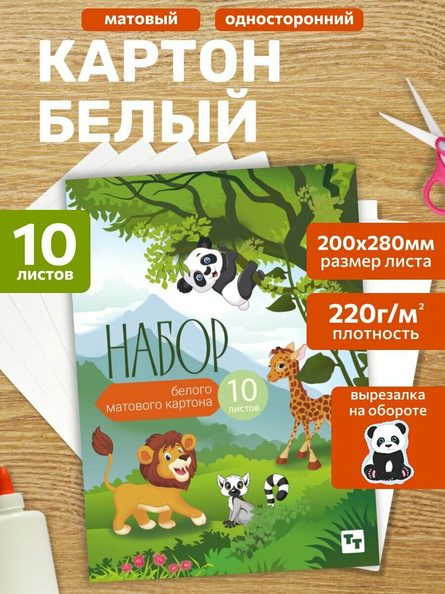 Набор белого матового картона в папке TINKITOYS 10 листов формата А4
