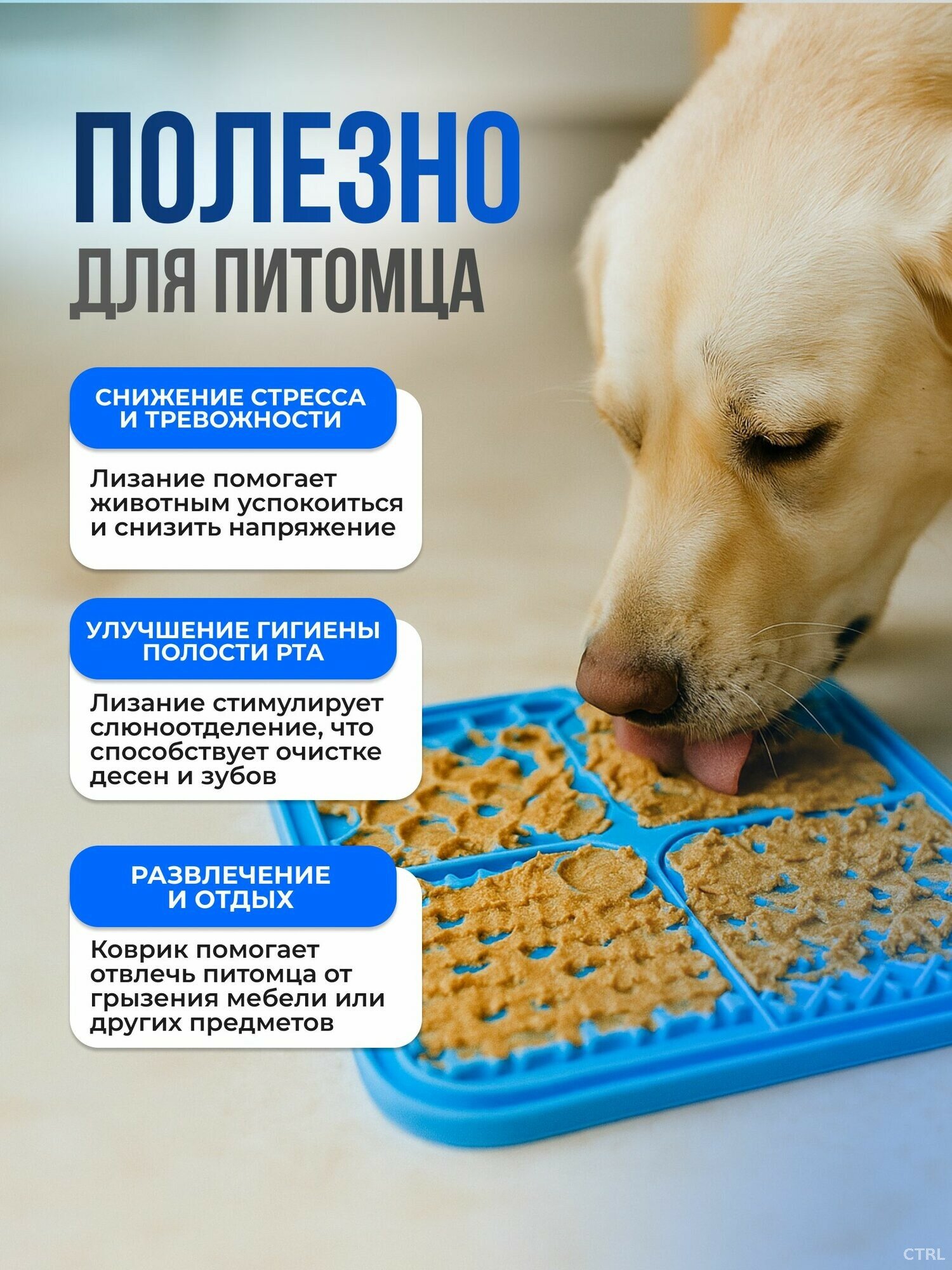 Силиконовая миска для медленного кормления для собак, лизательный коврик ZooWell Home (4 секции)