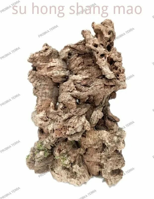 Блоки из пробковой коры для растений, террариума, флорариума, орхидариума ширина 150мм, длина 200мм