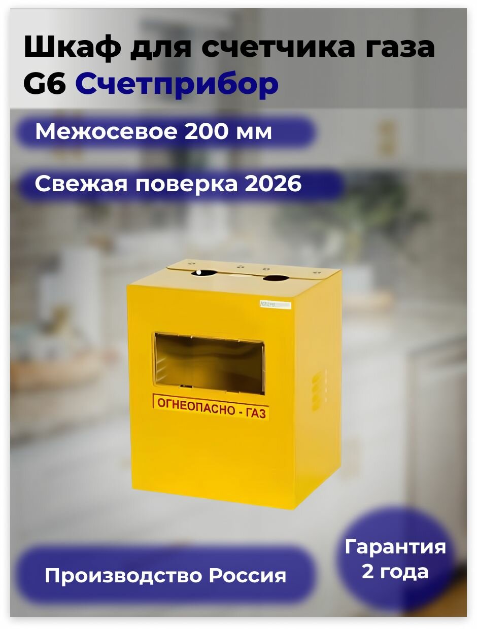 Шкаф для счетчика газа G6 межосевое 200 мм ШС-1.2 G-6
