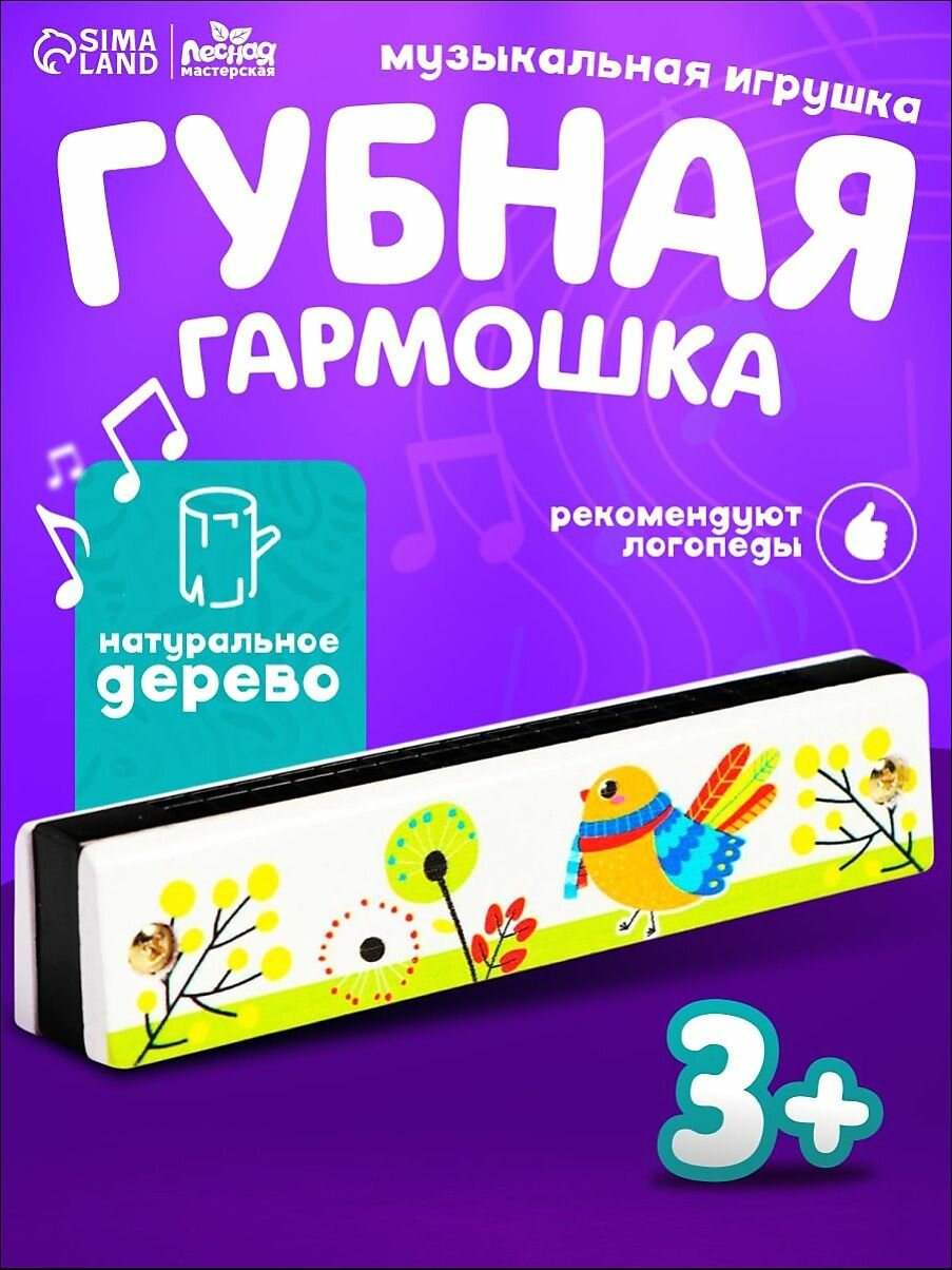 Губная гармошкаЛесная мастерская, воспроизведение мелодий, дерево, пластикЦвета и узоры случайные