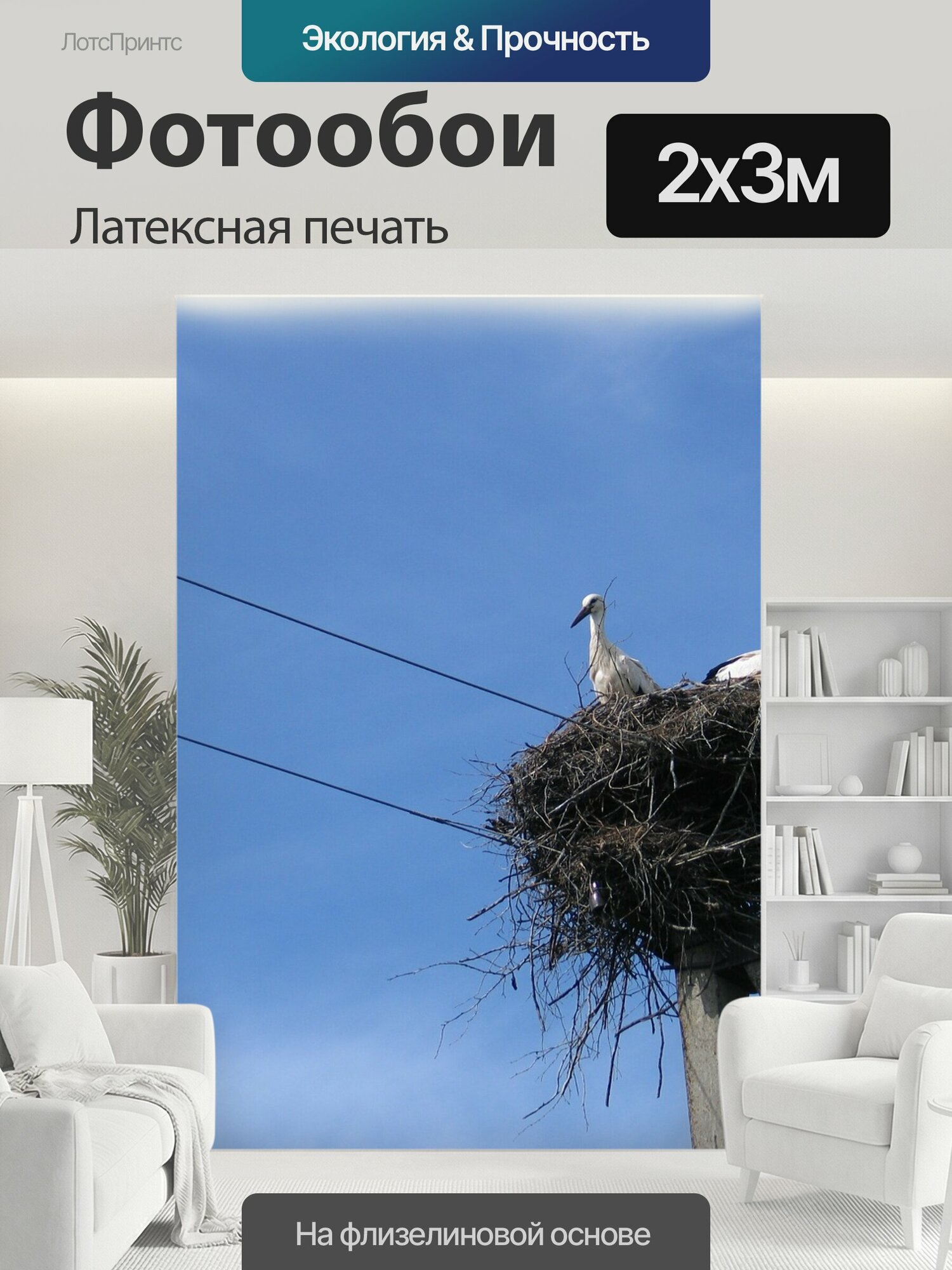 Фотообои моющиеся ударопрочные "Аист, гнездо, птицы" 200x300 см. латексная печать