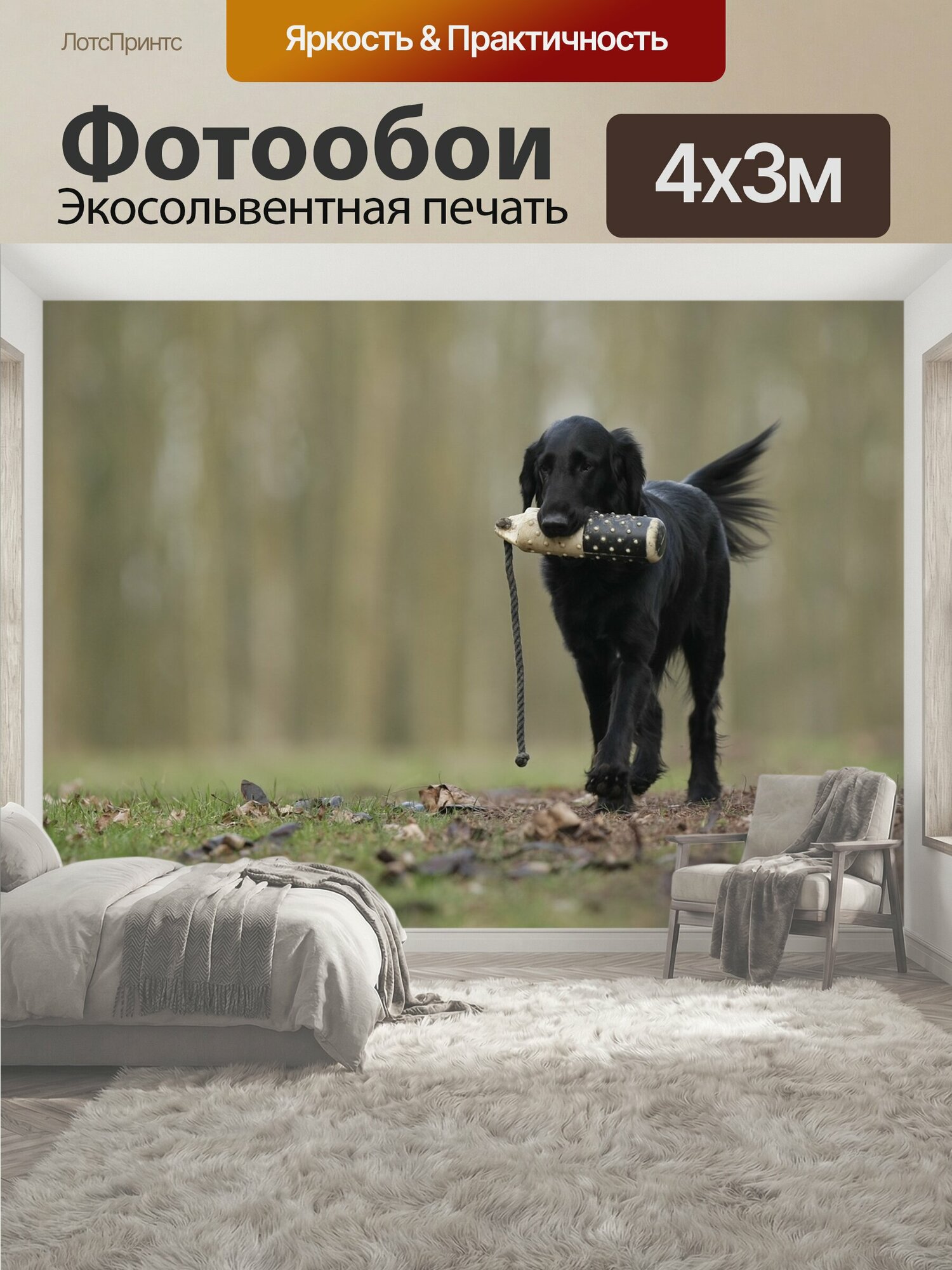 Фотообои "Собака, прямошерстная ретривер, охота" 400x300 см. экосольвентная печать