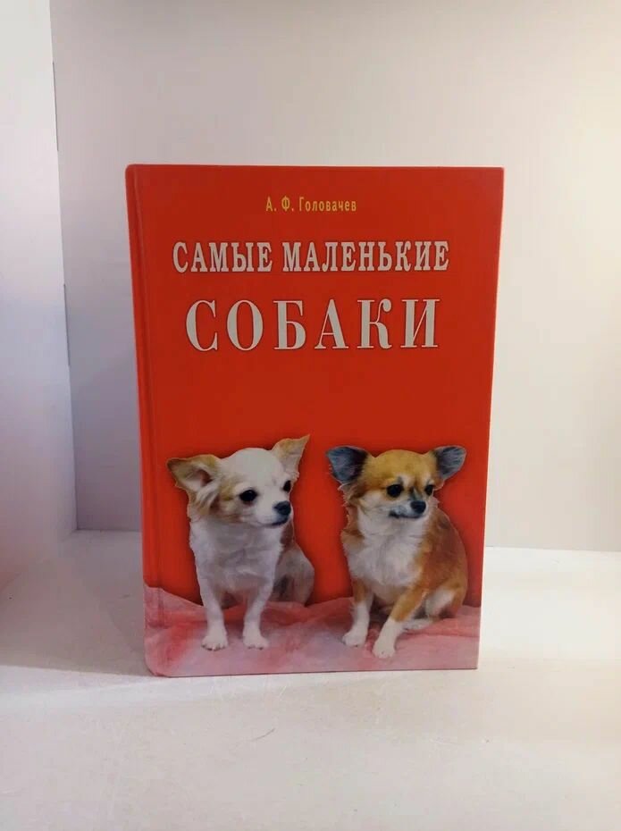 Самые маленькие собаки