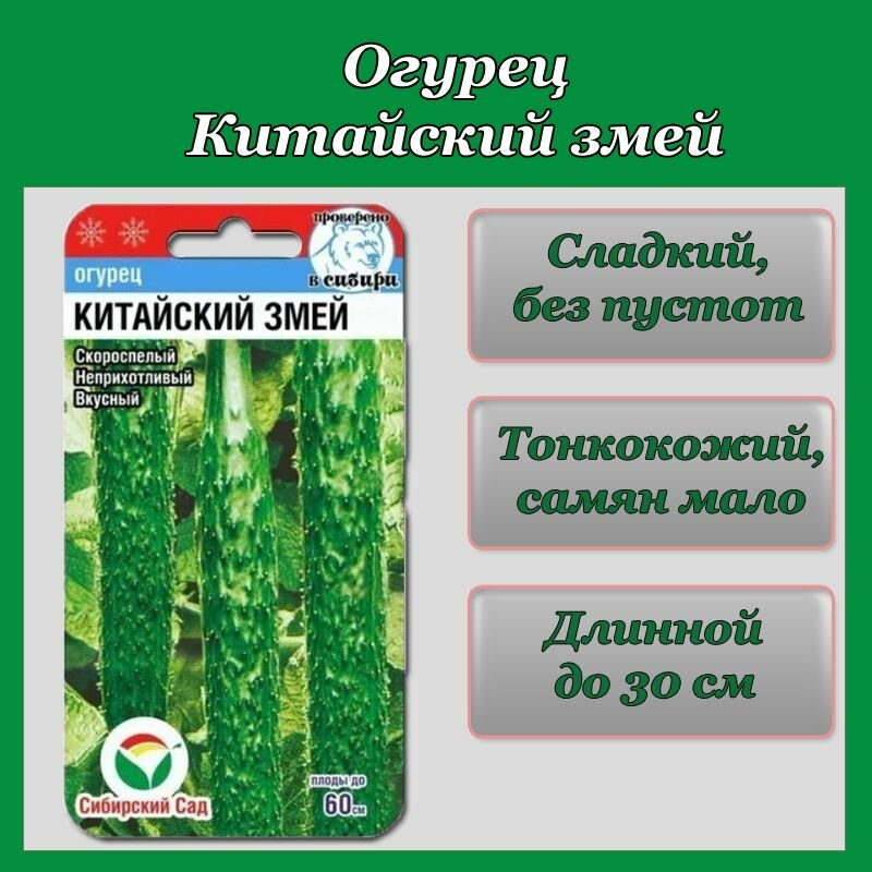Огурец Китайские змеи салатный (1 упаковка-10шт семян)