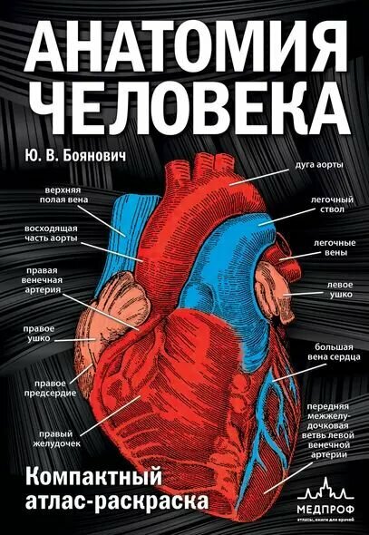 Боянович Юрий Владимирович: Анатомия человека: компактный атлас-раскраска