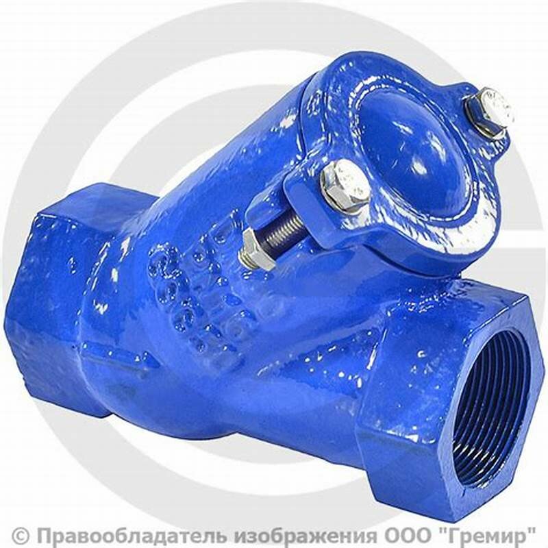 Обратный клапан муфтовый чугунный V277, Ду 15, Ру 16
