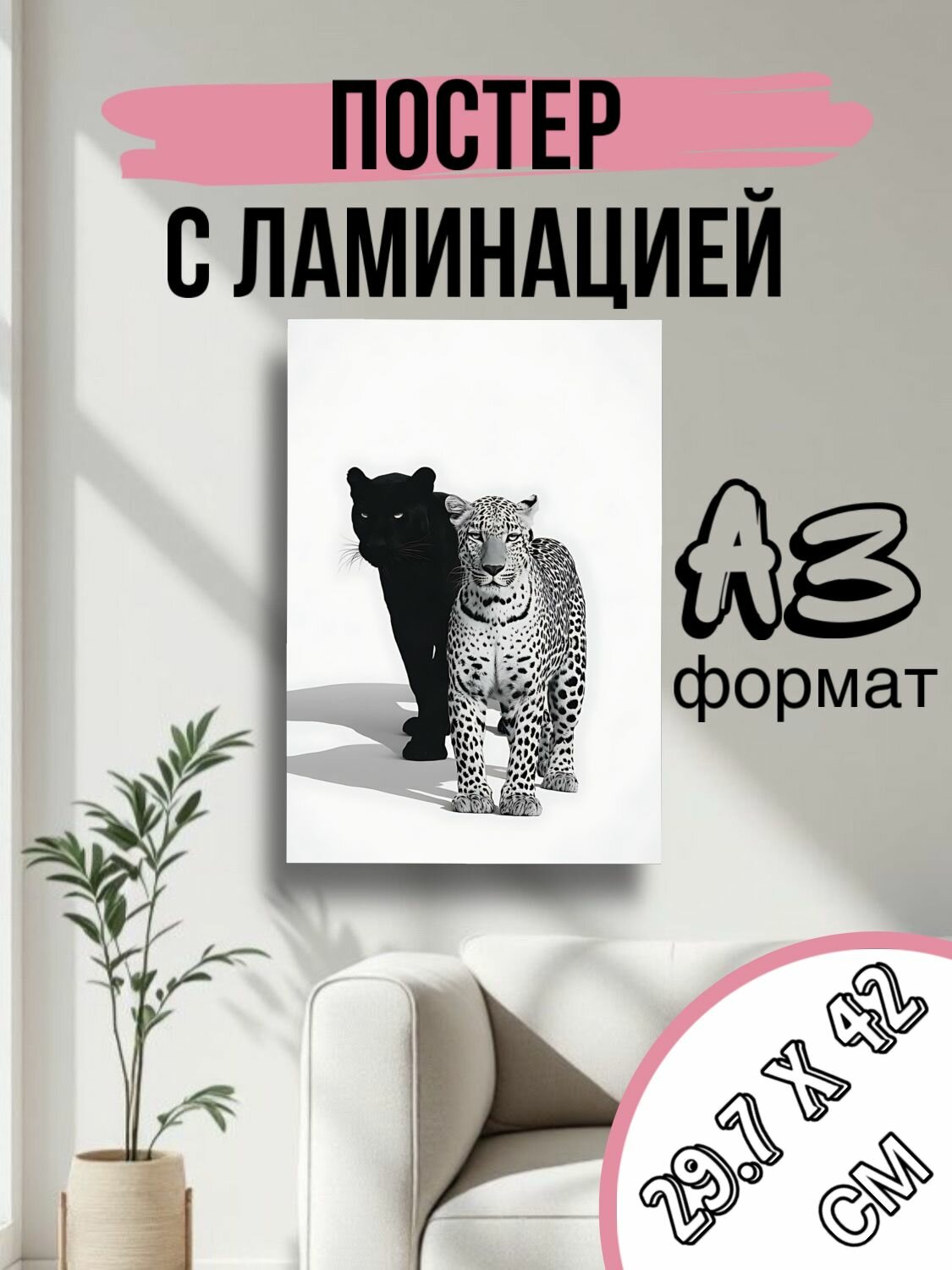 Постер