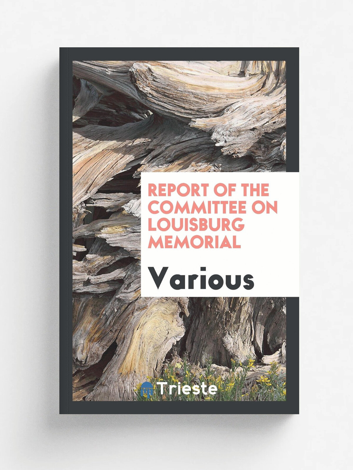 Report of the Committee on Louisburg Memorial