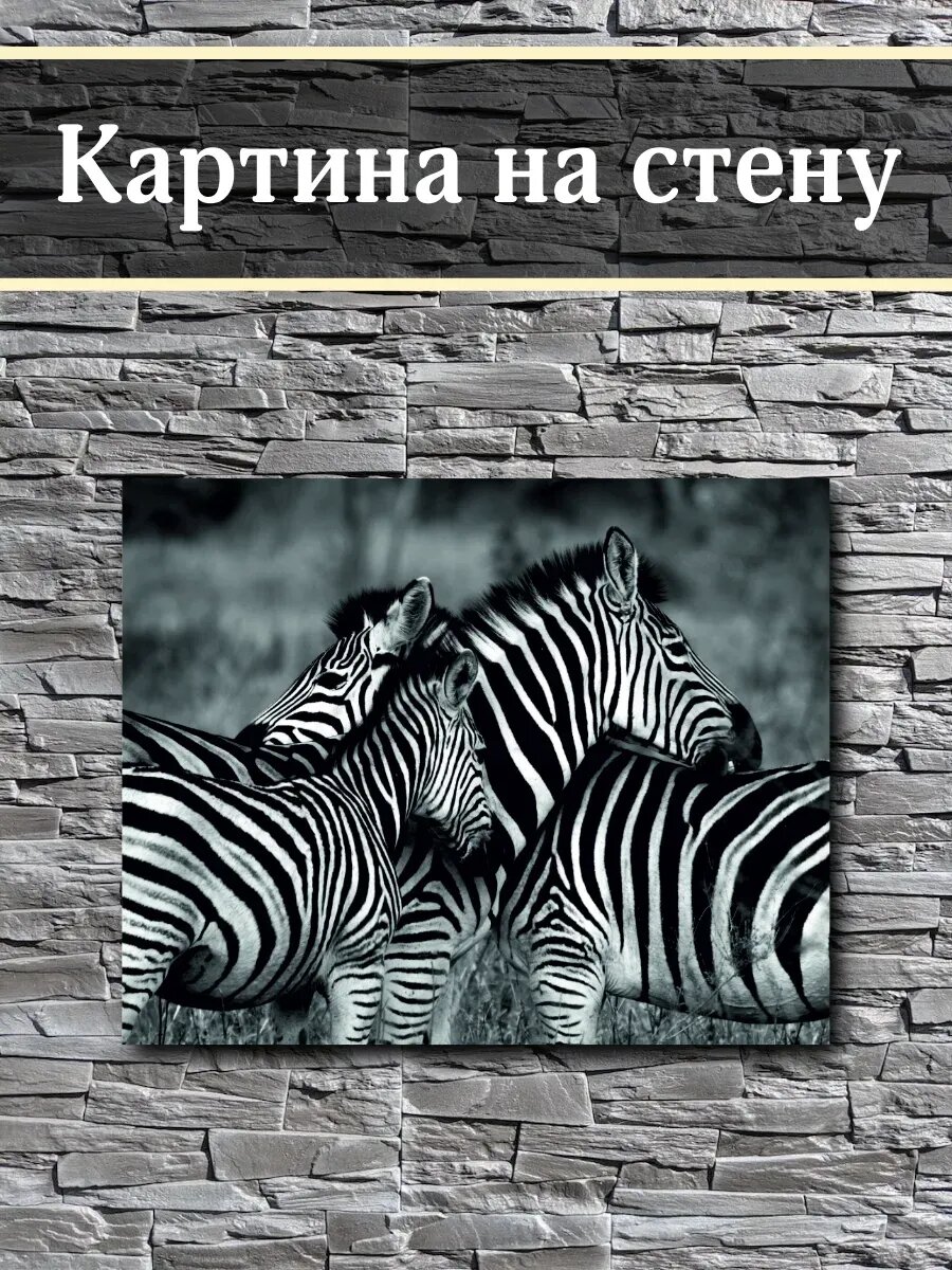 Картина на стену Зебры