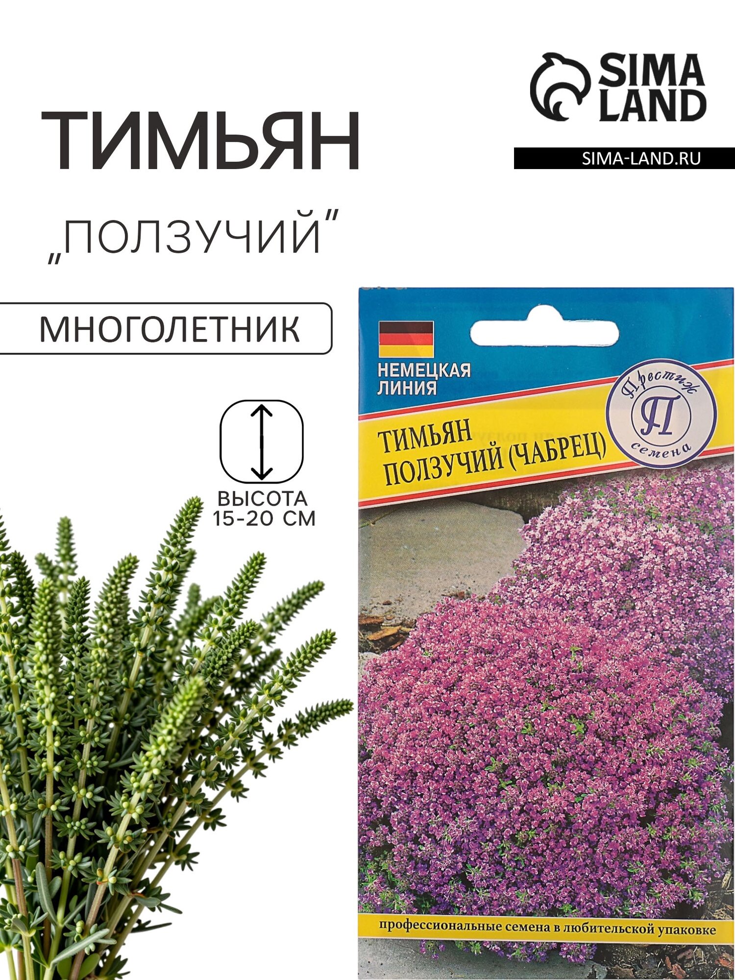 Ползучий тимьян, семена, чабрец, 0.05 г, «Престиж семена»
