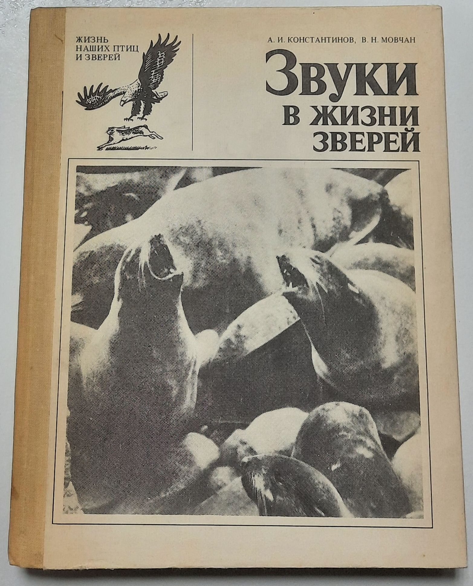 Звуки в жизни зверей