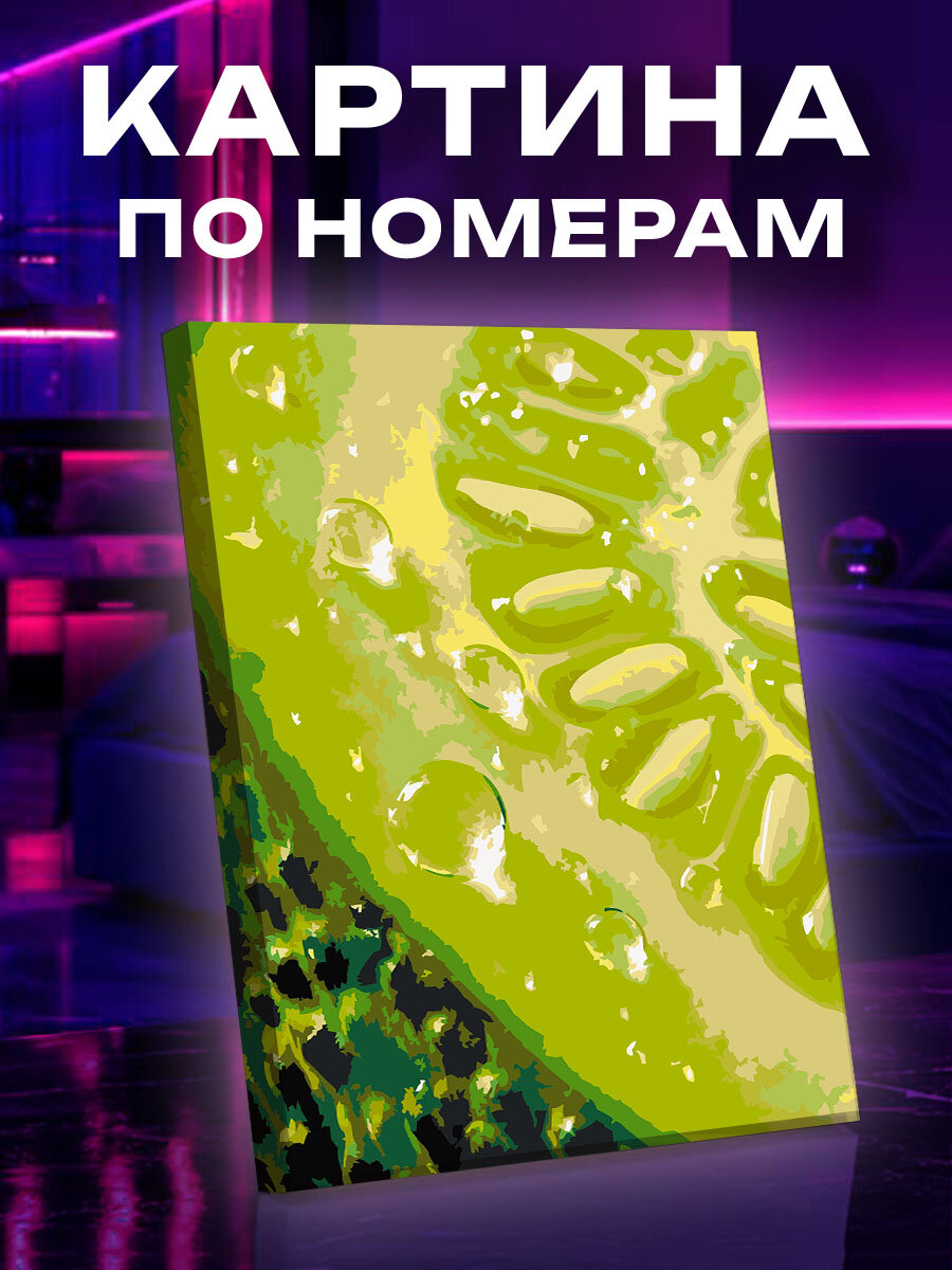 Картина по номерам Хрустальная свежесть огурца