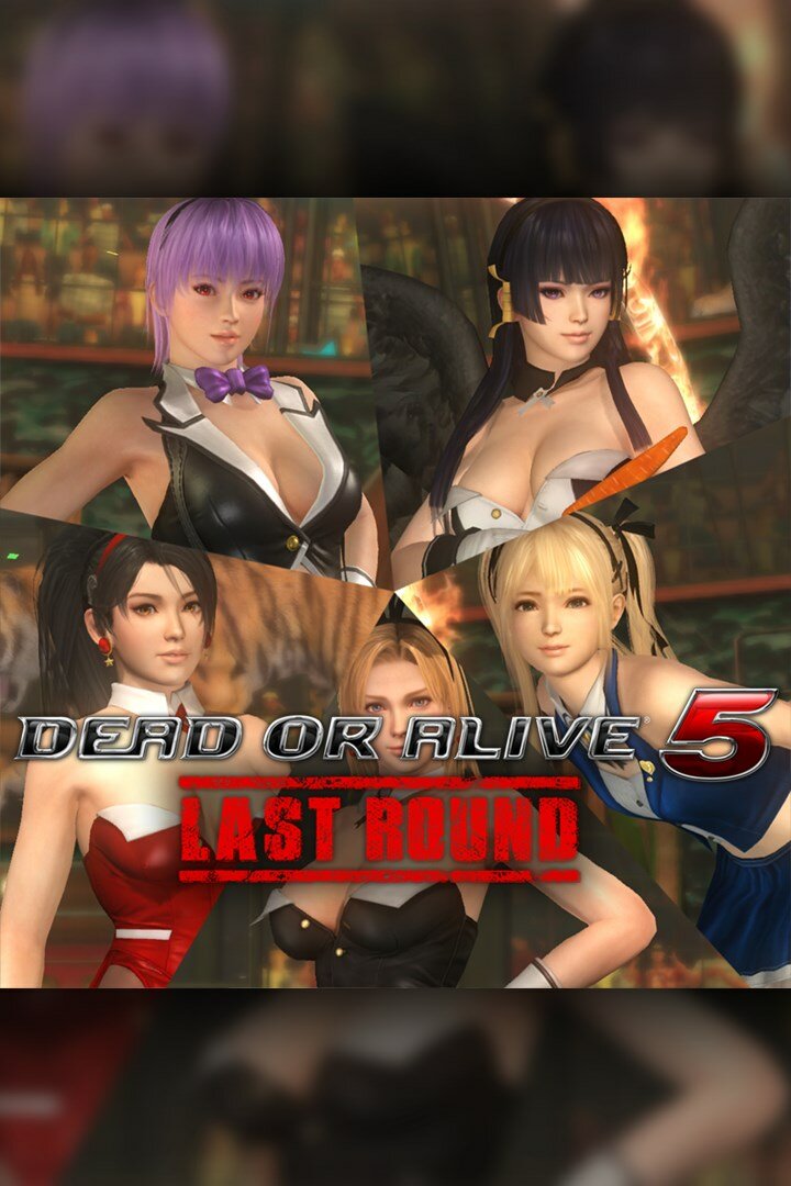 Дополнение DEAD OR ALIVE 5 Last Round Sexy Bunny Costume Set — Xbox Series X|S, Xbox One — Цифровая версия