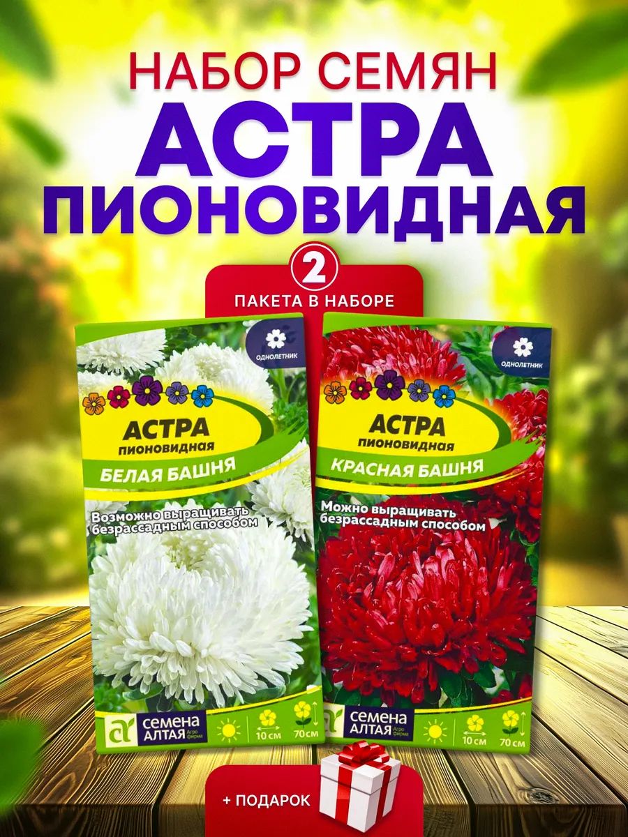 Набор семян цветов Астры пионовидной Белая и Красная Башня