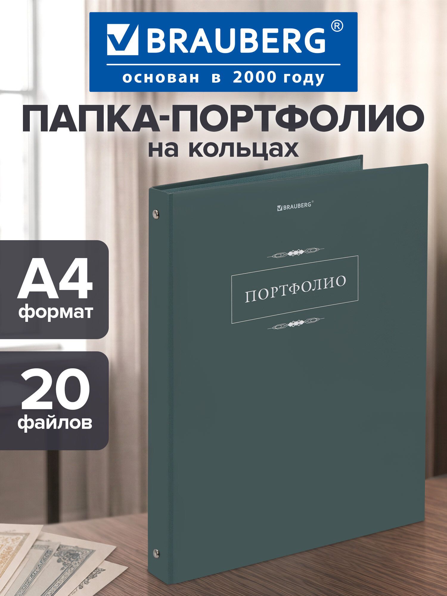 Портфолио школьника, папка А4 на кольцах матовая, 20 файлов, для девочек и мальчиков, Brauberg Classic