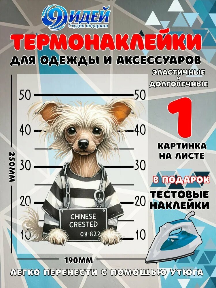 Термонаклейка для одежды и текстиля/ DTF наклейка для одежды/ 19*25 см Собака_преступник_2_Китайская_хохлатая