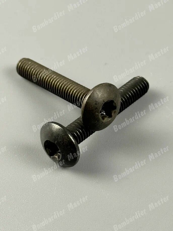 Болт крепления М6 х 35 250000541