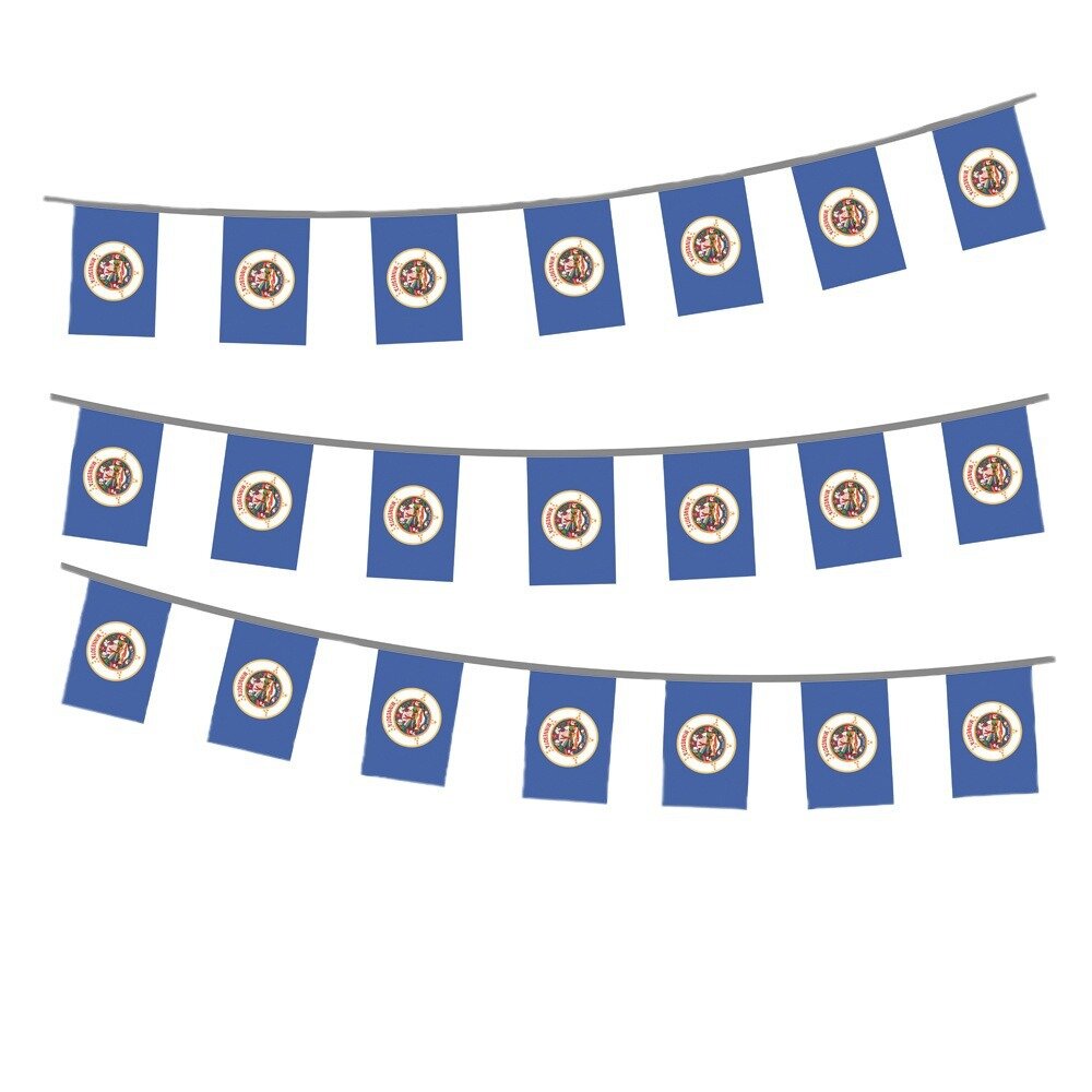 Набор из 12 мини-флажков из полиэстера с флагом штата Миннесота, размером 14x21 см, для украшения улицы во время парадов, спортивных мероприятий и фестивалей. Флагшток в комплект не входит.