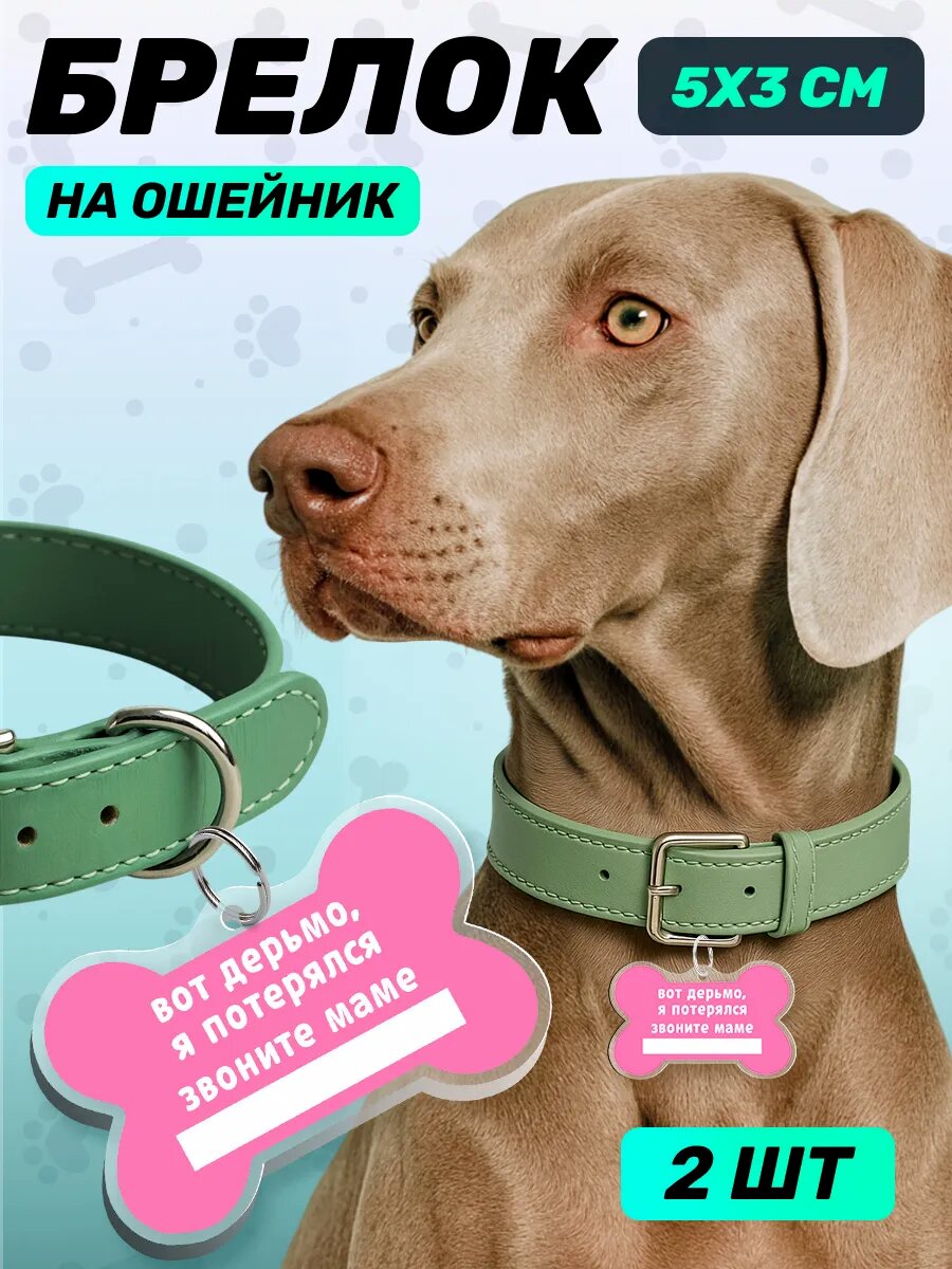 Адресник для собаки на ошейник