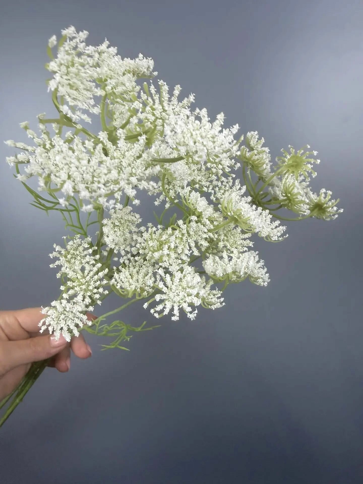 Искусственные цветы для декора флористические премиум Укроп цветущий белый 3 ветки 43 см