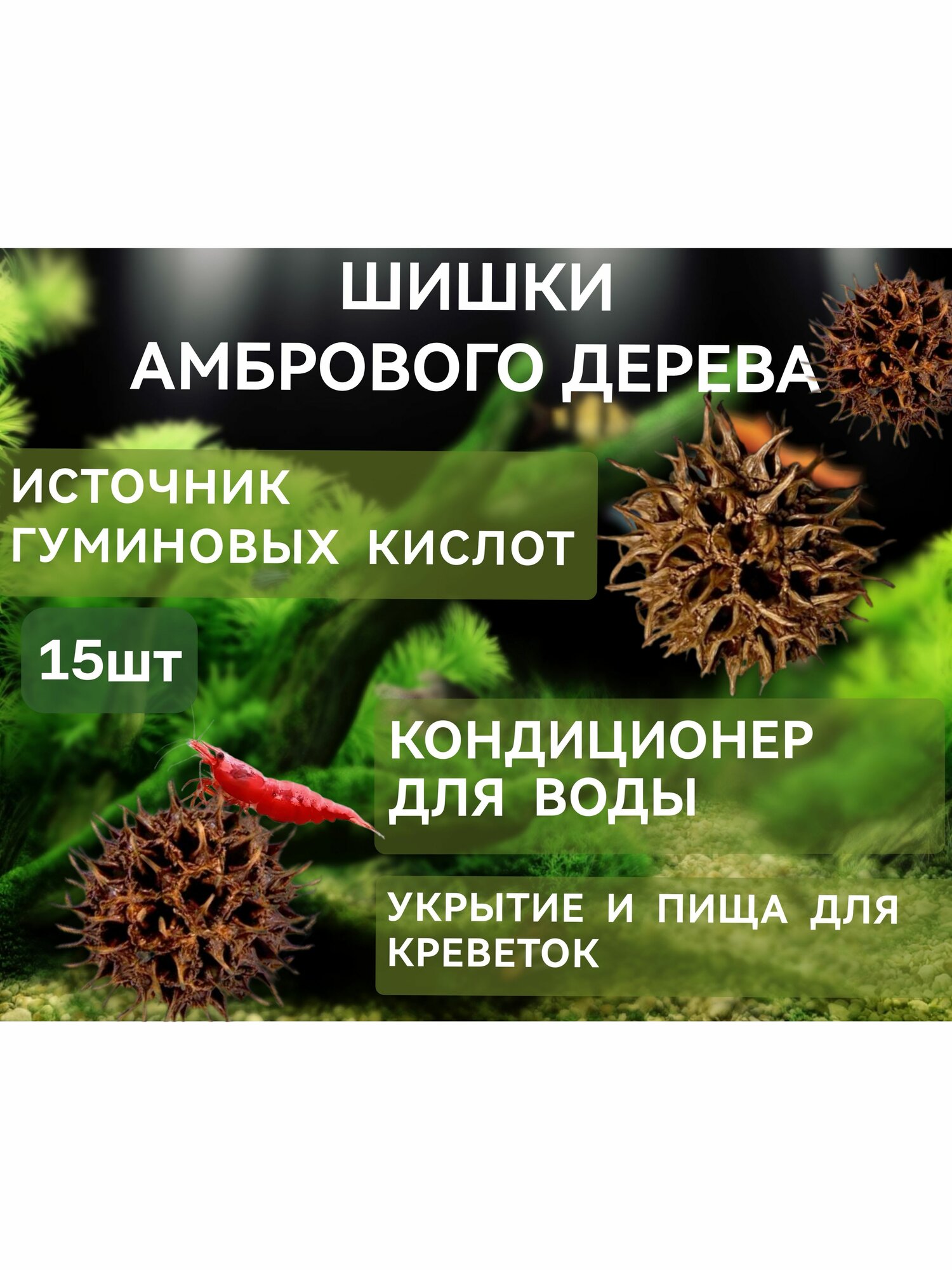 Шишки амбрового дерева