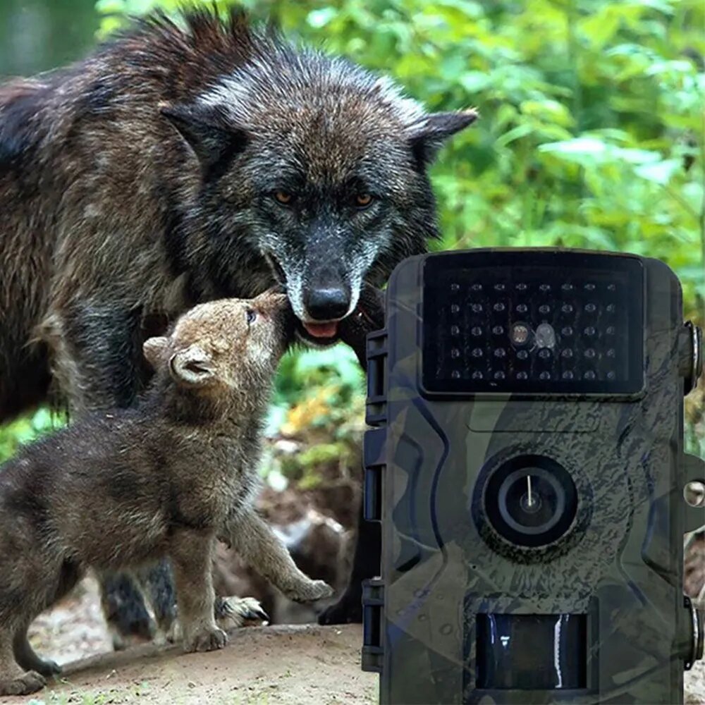 Охотничья камера DL001, фотоловушка с ИК подсветкой и датчиком движения, камуфляж — фото 1