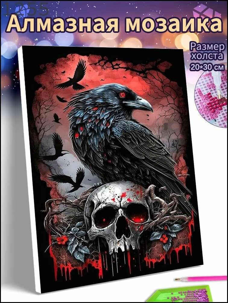 Алмазная мозаика на раме 20х30 "Череп темного ворона&вышивка11