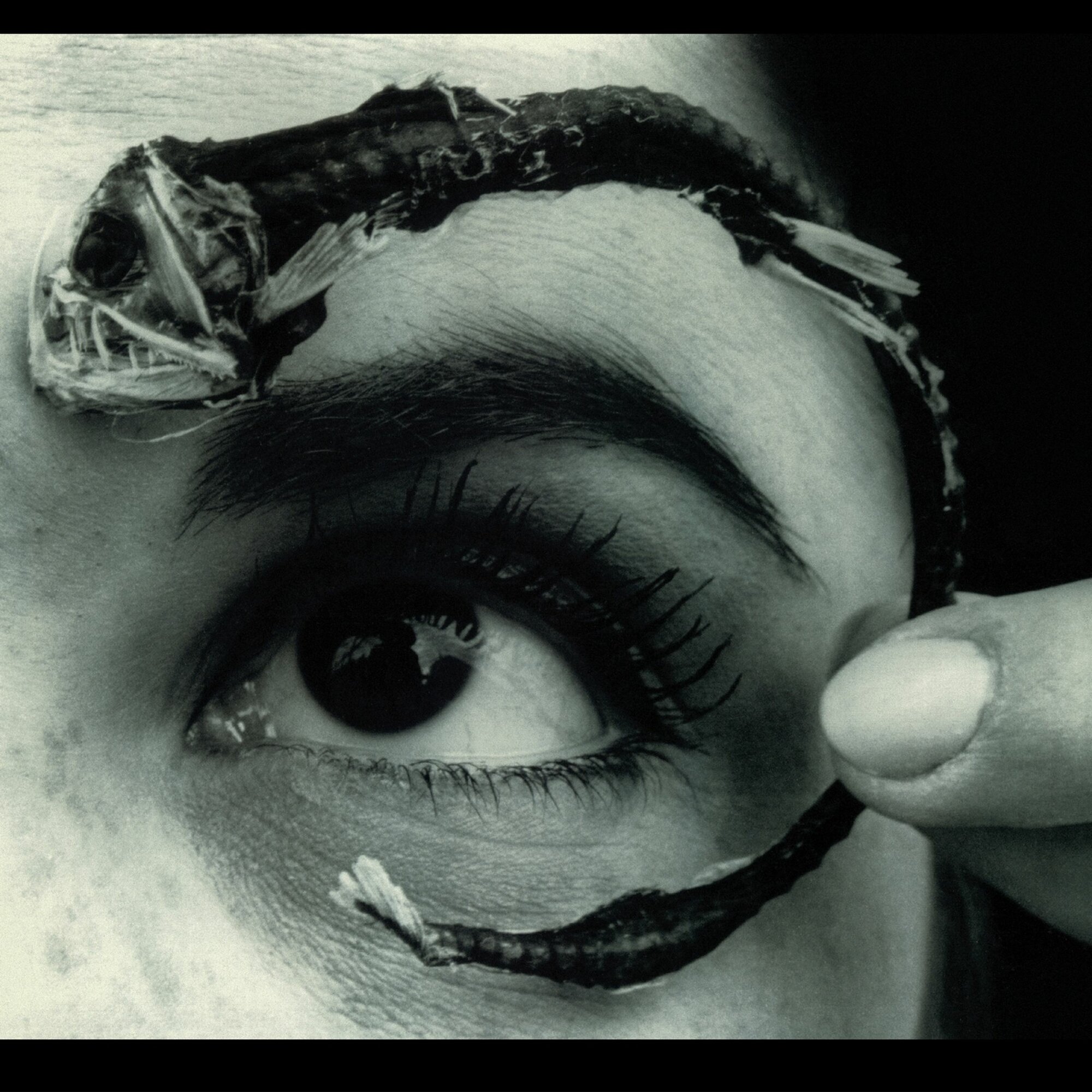 Виниловая пластинка Mr. Bungle - Disco Volante (Reissue) (remastered) (Translucent Light Blue Vinyl) (Rocktober 2025) (2 LP) (2 LP)