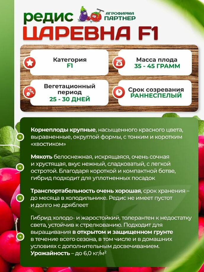 Семена редиса Царевна — фото 1