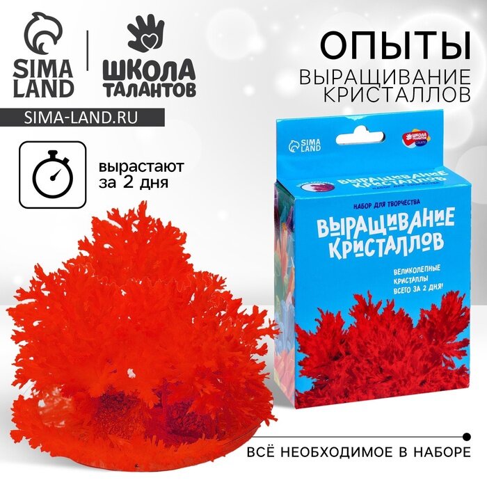 Выращивание кристаллов Опыты. Лучистый кристалл, цвет красный