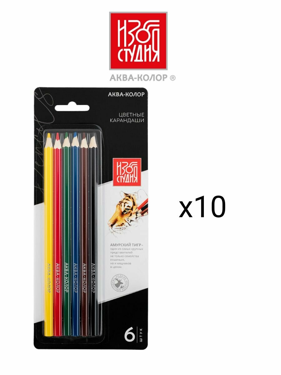 Аква-колор карандаши цветные Изостудия для рисования, заточенные, упаковка 10 наборов по 6 цветов IZO-CP6B