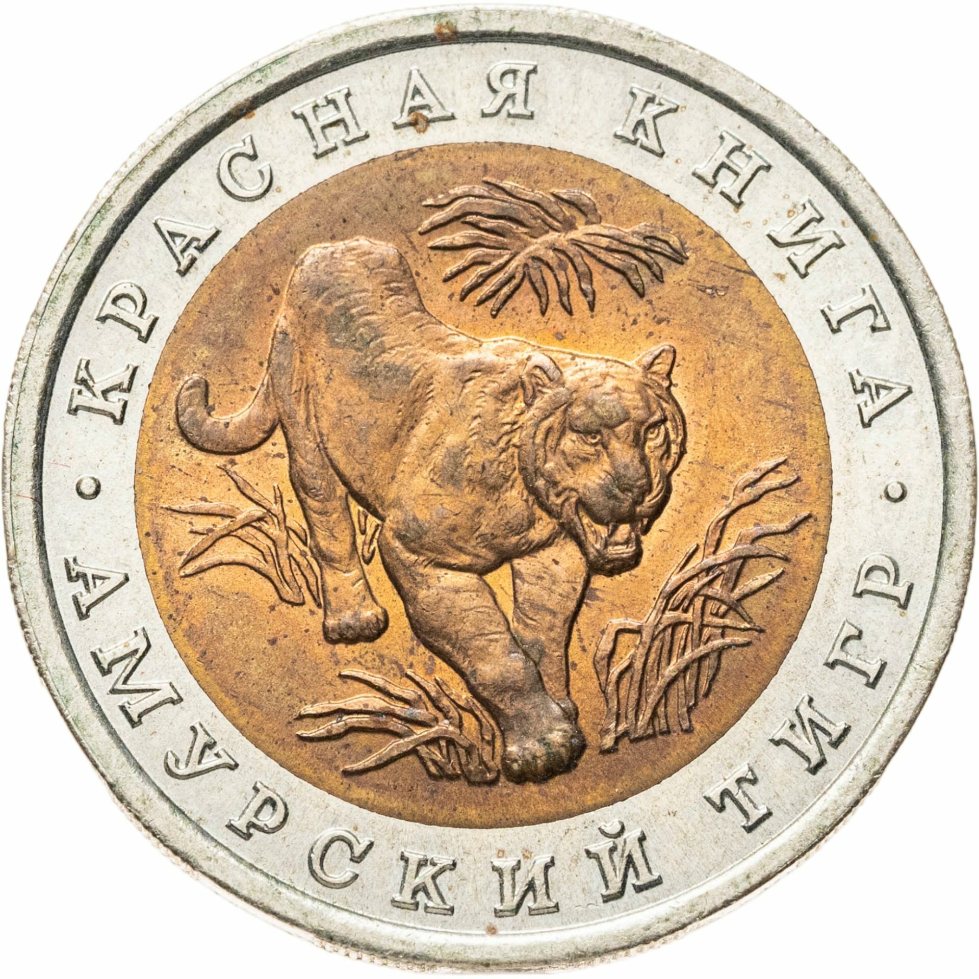 10 рублей 1992 ЛМД амурский тигр, Биметалл, в сохранности AU-UNC